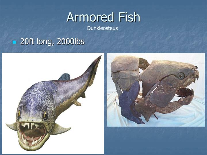 PPT - Extinct Animals PowerPoint Presentation - ID:6795046