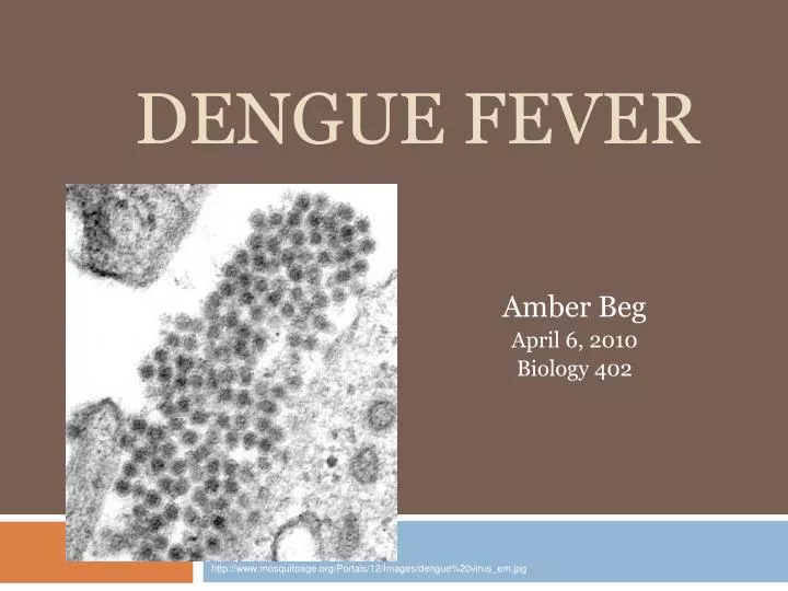 PPT - Dengue Fever PowerPoint Presentation, free download - ID:6795073