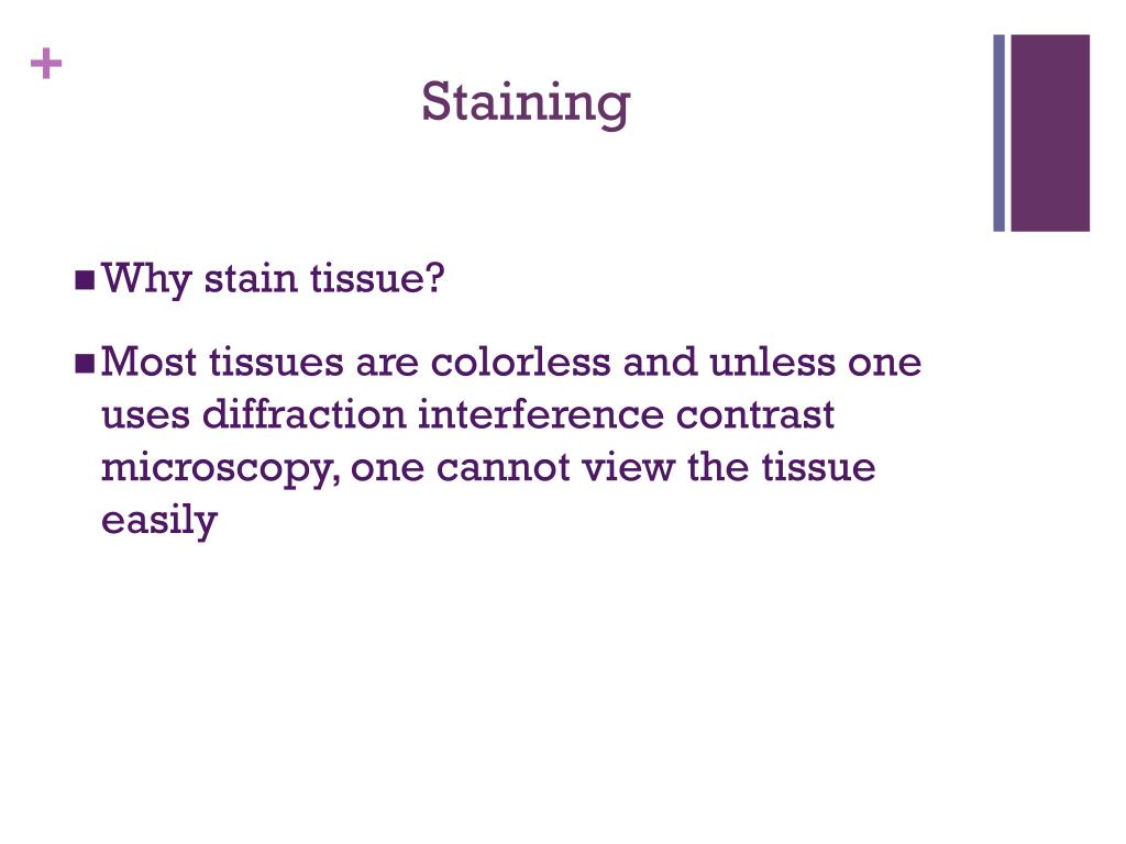 PPT - Research Techniques I (Biology 513) PowerPoint Presentation, free ...