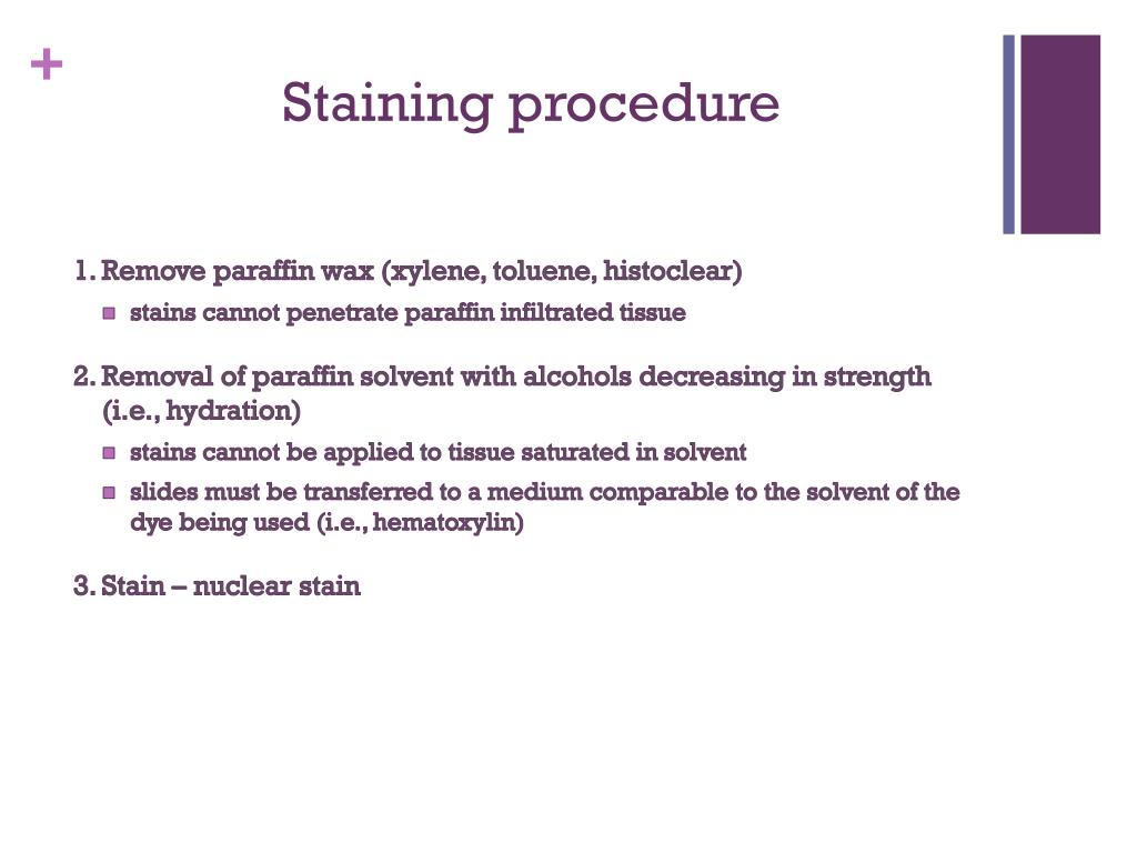 PPT - Research Techniques I (Biology 513) PowerPoint Presentation, free ...