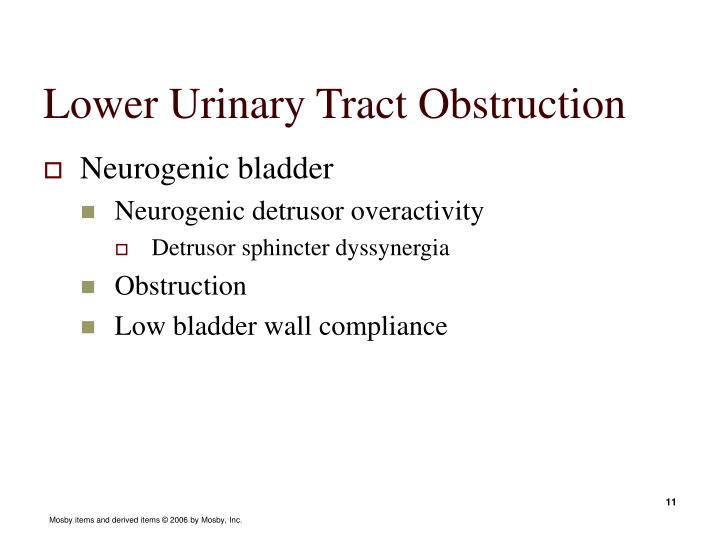 PPT - Alterations of Renal and Urinary Tract Function PowerPoint ...