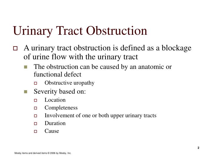 PPT - Alterations of Renal and Urinary Tract Function PowerPoint ...