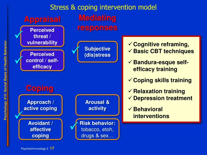 PPT - The stimulus PowerPoint Presentation - ID:6798586