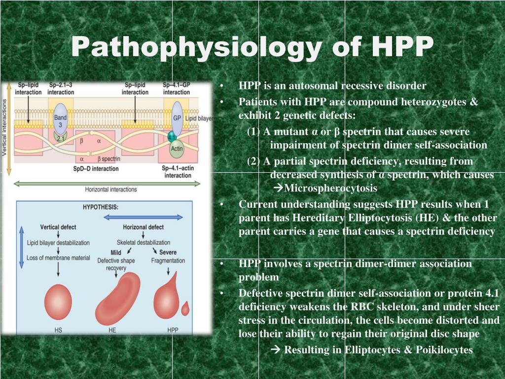 PPT - GROUP CASE STUDY Dr. Nancy McQueen MICR 410 - Hematology Spring ...