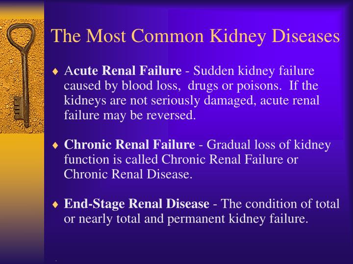 PPT - Medical Nutrition Therapy for Renal Disorders PowerPoint ...
