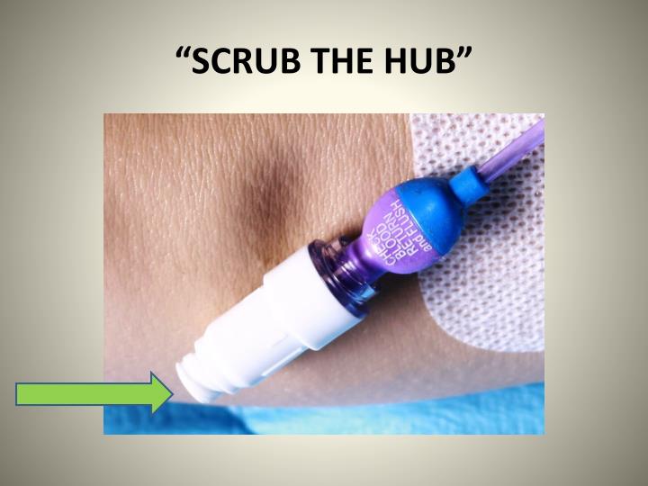 PPT - Vascular Access Plus (402) 449-9330 info@vascularaccessplus ...