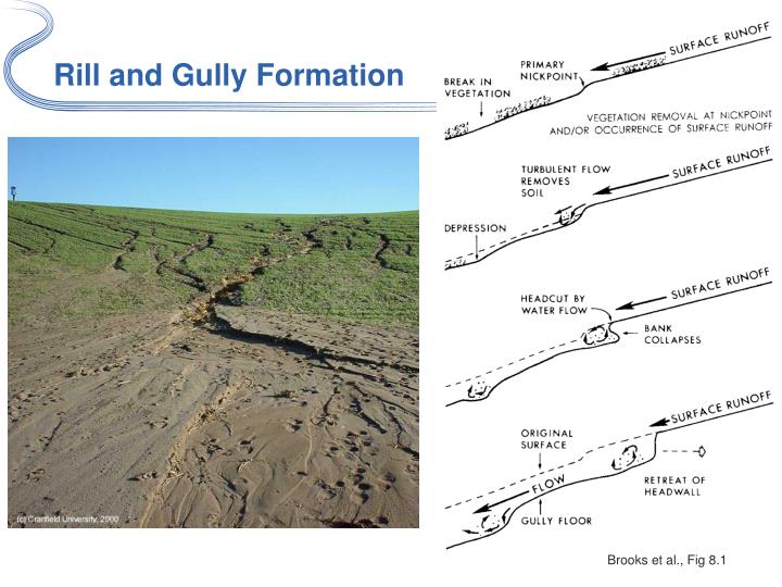 PPT - Soil Erosion PowerPoint Presentation - ID:6806933