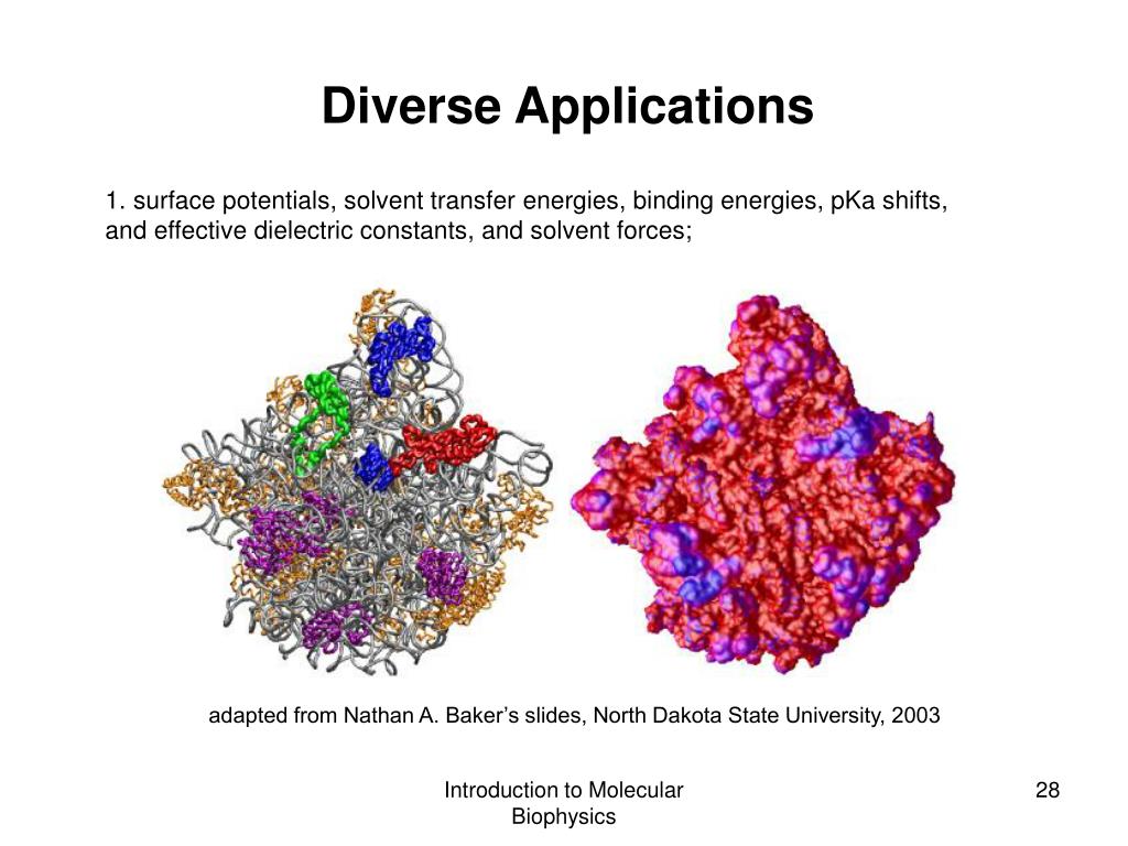 PPT - Implicit Solvation Models PowerPoint Presentation, free download ... PPT - Implicit Solvation Models PowerPoint Presentation, free download ...