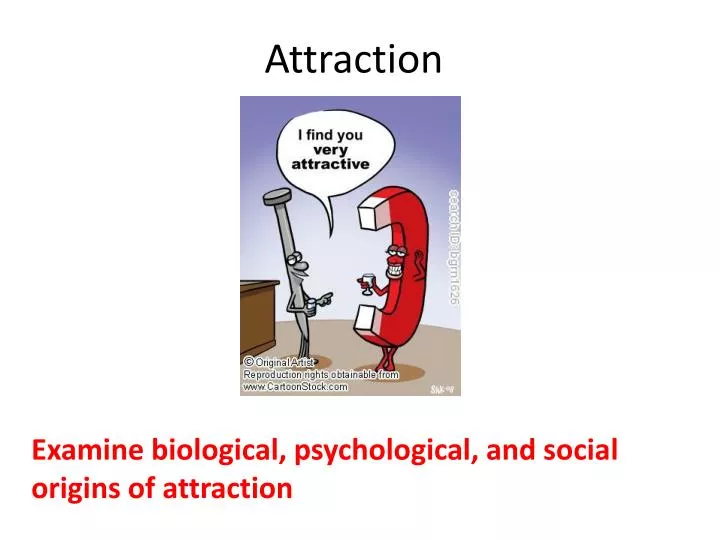 PPT - Attraction PowerPoint Presentation, free download - ID:6809607