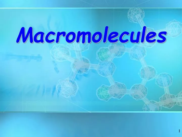 PPT - Macromolecules PowerPoint Presentation, free download - ID:6810555