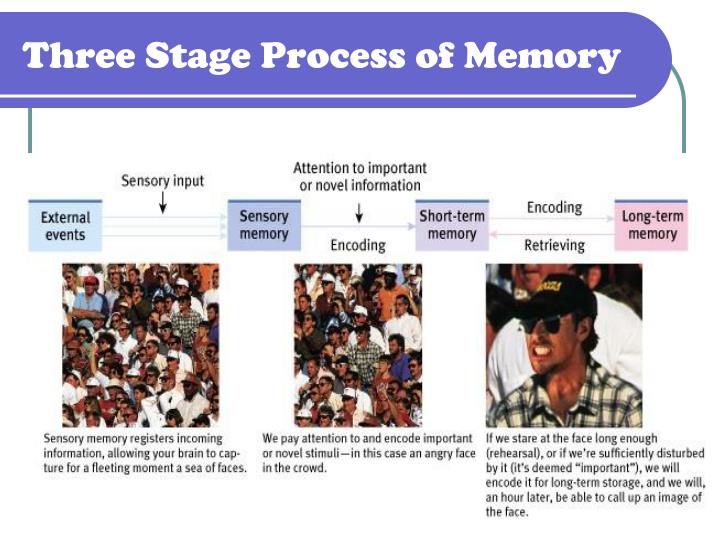 PPT - Memory: Unit 7 PowerPoint Presentation - ID:6813816