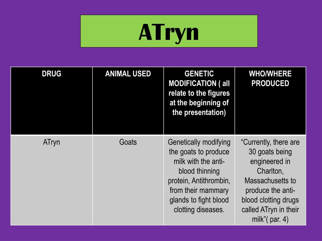 PPT - Genetically Modified Animals and Drug Production An EMPACTS ...