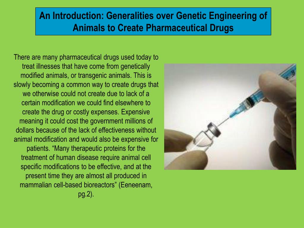 PPT - Genetically Modified Animals and Drug Production An EMPACTS ...