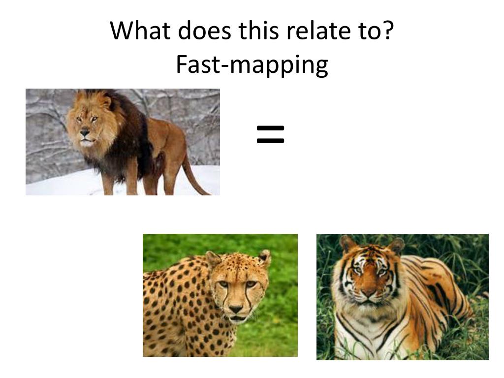 PPT - 09 - Early Childhood - Cognitive 2-6 years (Preschool) PowerPoint ...