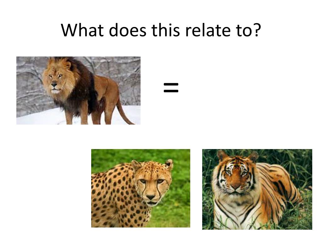 PPT - 09 - Early Childhood - Cognitive 2-6 years (Preschool) PowerPoint ...