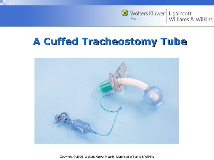 PPT - Chapter 36 Airway Management PowerPoint Presentation - ID:6816014