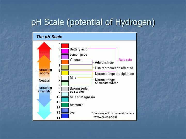 PPT - September 11, 2013 PowerPoint Presentation - ID:6817071