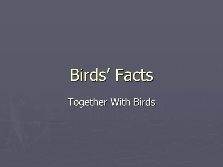 PPT - Birds’ Facts PowerPoint Presentation, free download - ID:6818396