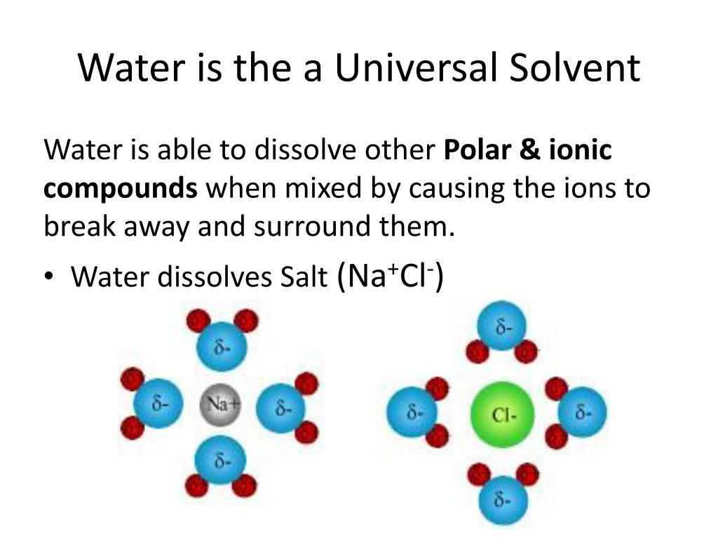 PPT - Why Study Chemistry in Biology? PowerPoint Presentation, free ...