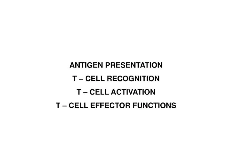 PPT - ANTIGEN PRESENTATION T – CELL RECOGNITION T – CELL ACTIVATION T ...