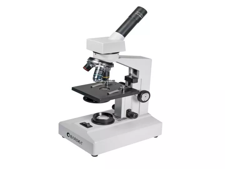 PPT - Compound Light Microscope 1 st type of microscope, most widely ...