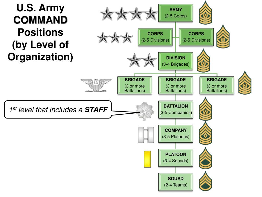 PPT U S Army OFFICER Ranks Pay Grades PowerPoint Presentation Free