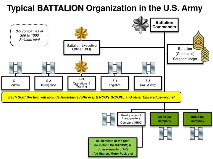 PPT - U.S. Army OFFICER Ranks/Pay Grades PowerPoint Presentation - ID ...