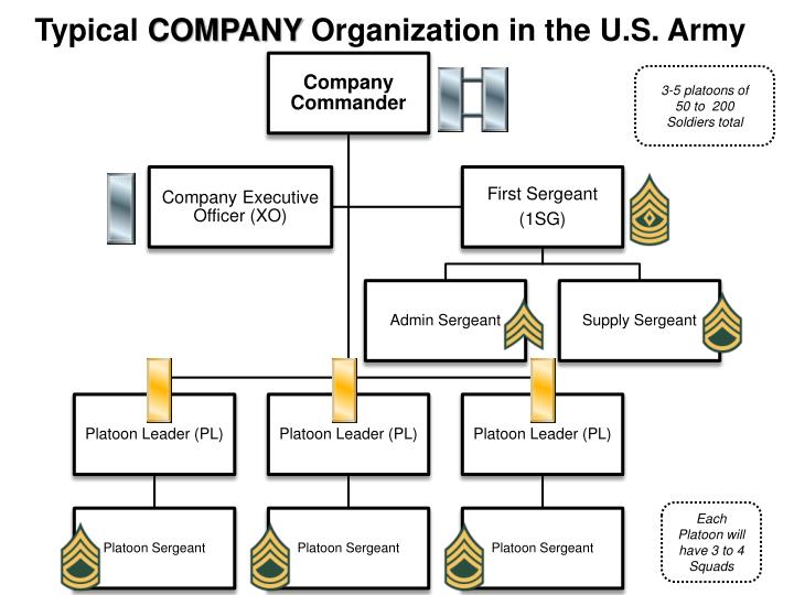 PPT - U.S. Army OFFICER Ranks/Pay Grades PowerPoint Presentation - ID ...