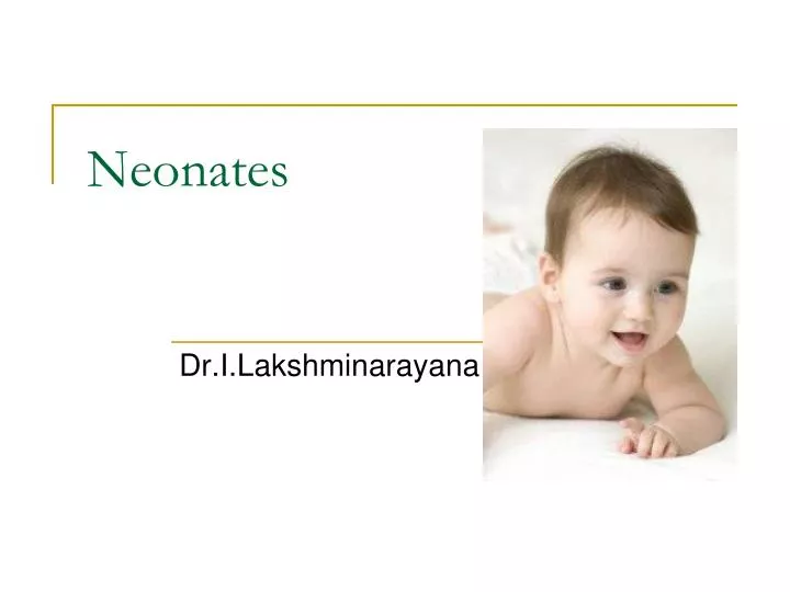 PPT - Neonates PowerPoint Presentation, free download - ID:6821493