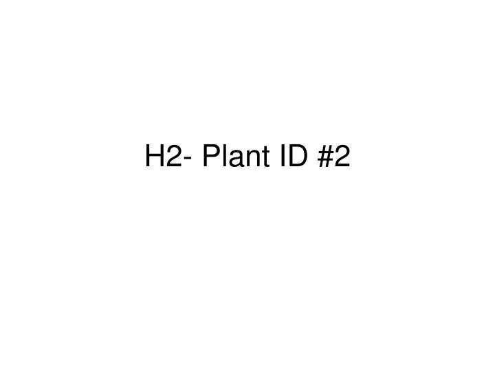 PPT - H2- Plant ID #2 PowerPoint Presentation, free download - ID:6821935