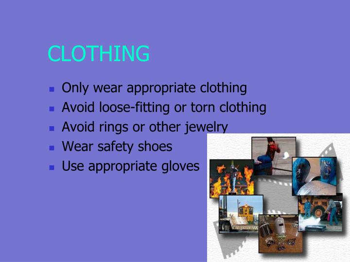 PPT - WAREHOUSE SAFETY PowerPoint Presentation - ID:6822059