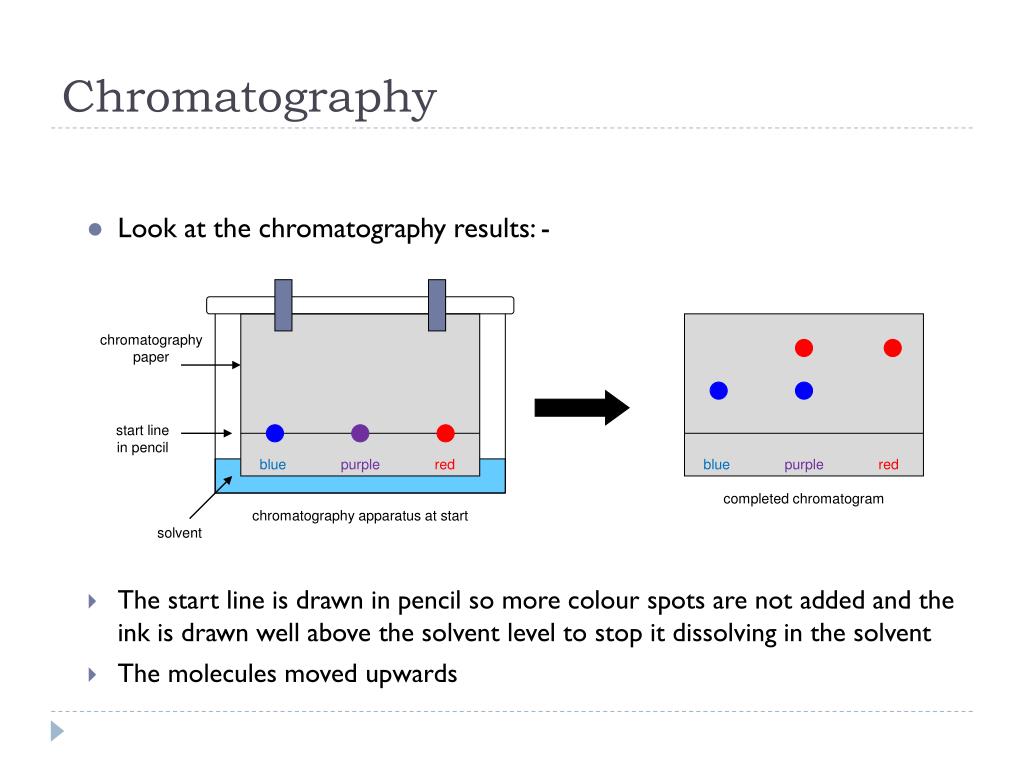 Chromatograms Calculating Rf Values Chromatography Gc - vrogue.co Chromatograms Calculating Rf Values Chromatography Gc - vrogue.co