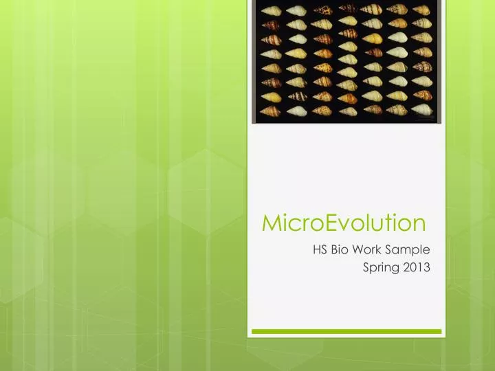 PPT - MicroEvolution PowerPoint Presentation, free download - ID:6825987