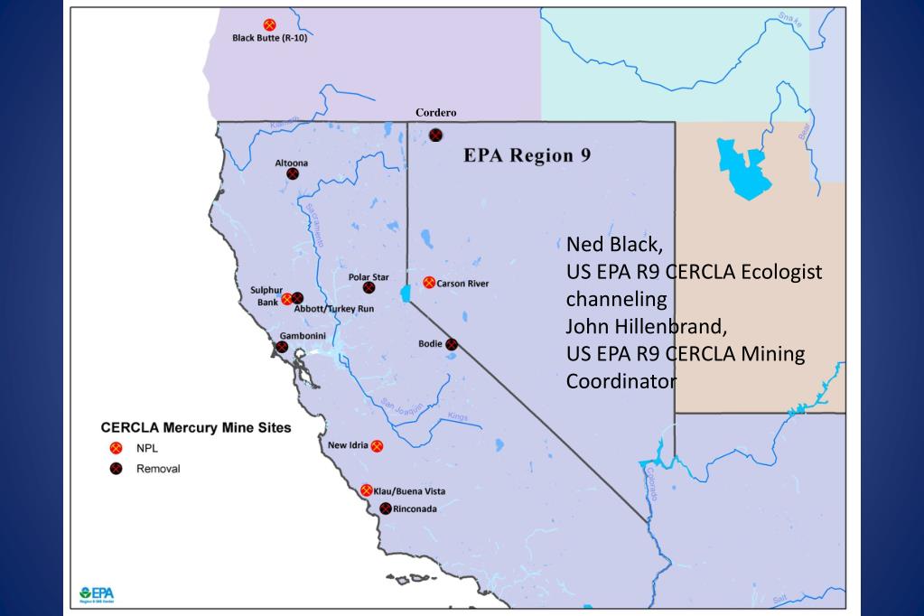 PPT - Ned Black, US EPA R9 CERCLA Ecologist channeling John Hillenbrand ...