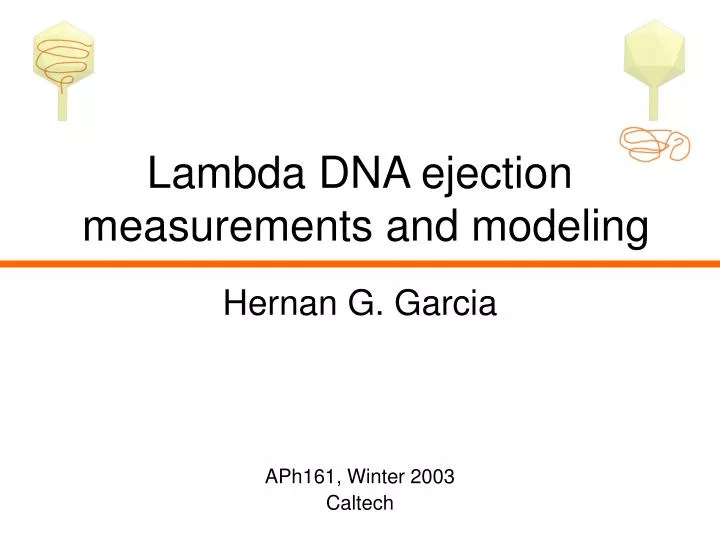 PPT - Lambda DNA ejection measurements and modeling PowerPoint ...