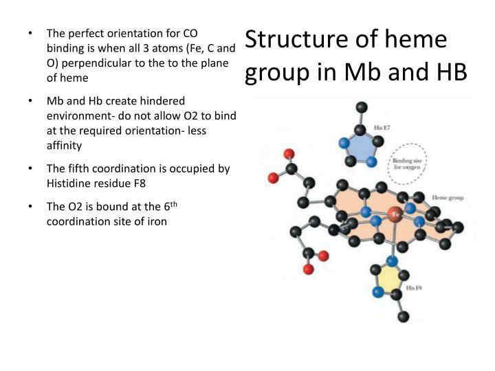 PPT - Example of Tertiary and Quaternary Structure of Protein Myoglobin ...