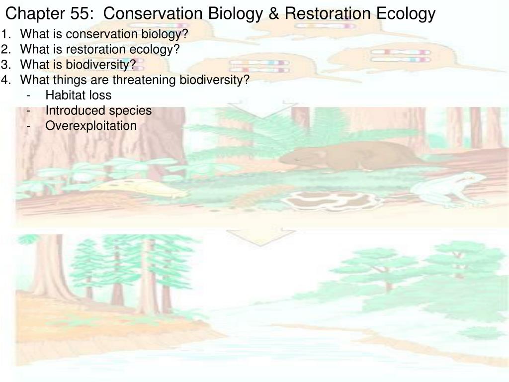 PPT - Chapter 55: Conservation Biology & Restoration Ecology PowerPoint ...