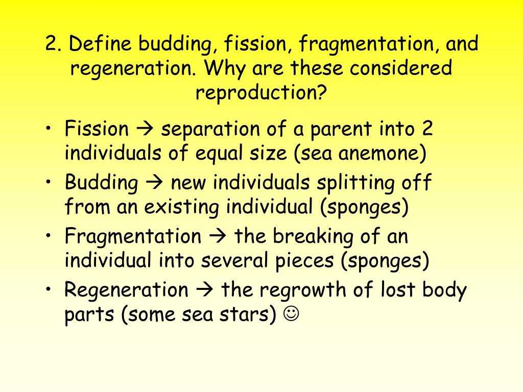 Ppt Chapter 46 Reading Quiz Powerpoint Presentation Free Download