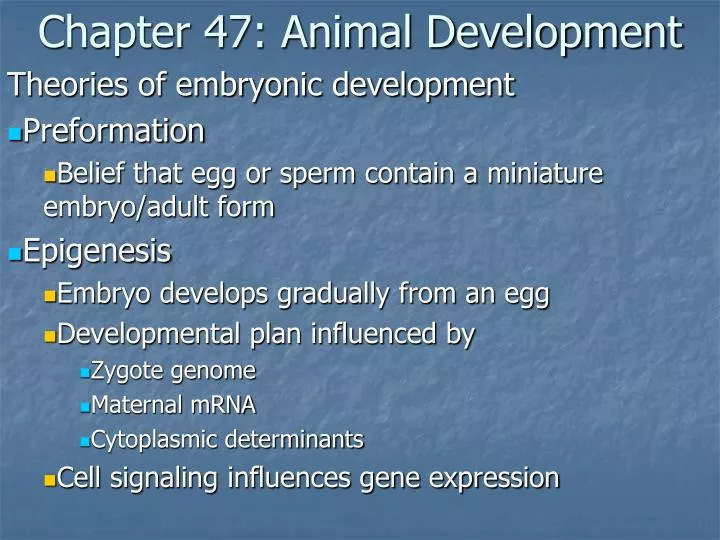PPT - Chapter 47: Animal Development PowerPoint Presentation, free ...