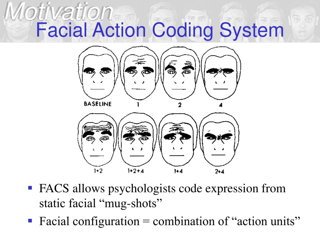 Facs Facial Action Coding System Facial Action Coding