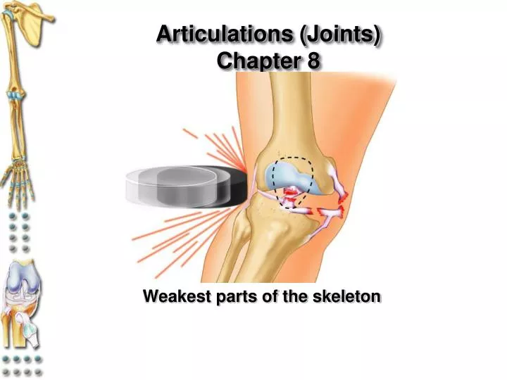 PPT - Articulations (Joints) Chapter 8 PowerPoint Presentation, free ...