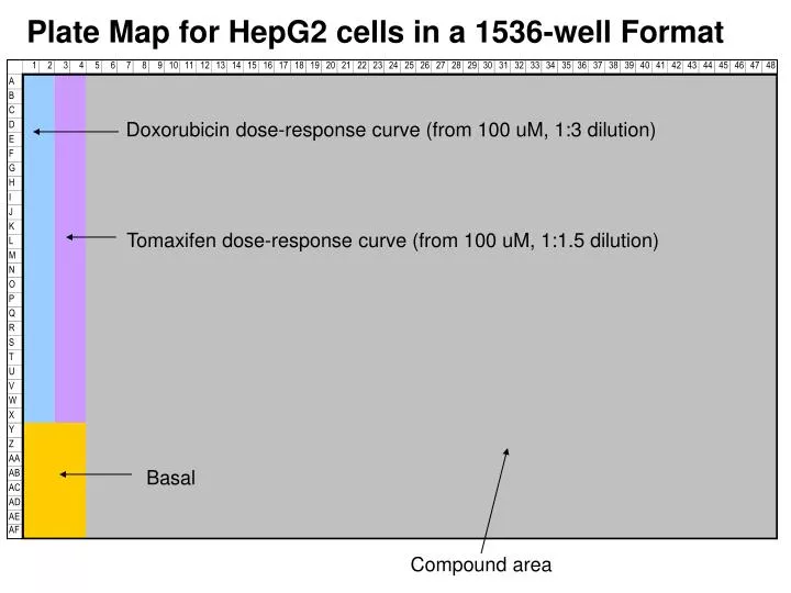 PPT - Plate Map for HepG2 cells in a 1536-well Format PowerPoint ...