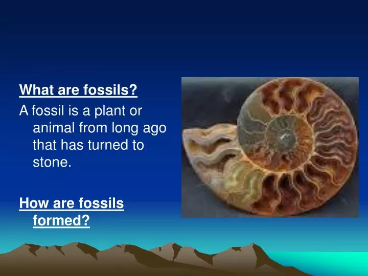 PPT - What are fossils? A fossil is a plant or animal from long ago ...