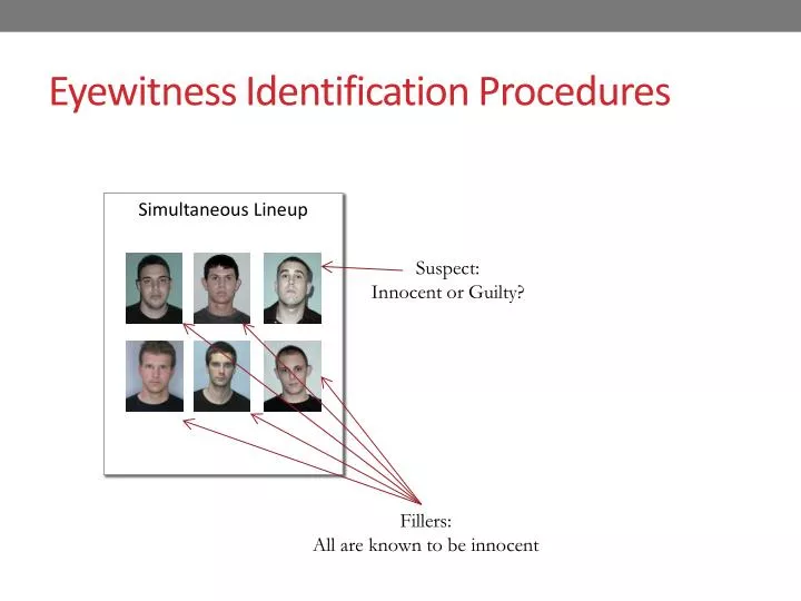 PPT - Eyewitness Identification Procedures PowerPoint Presentation ...