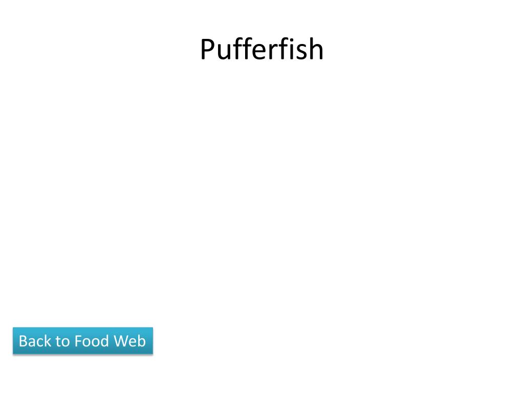 PPT - Coral Reef Food Web PowerPoint Presentation, free download - ID ...