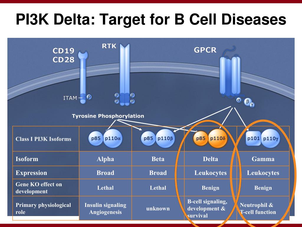 PPT - Next Generation TKIs and Small Molecule Inhibitors Jennifer R ...