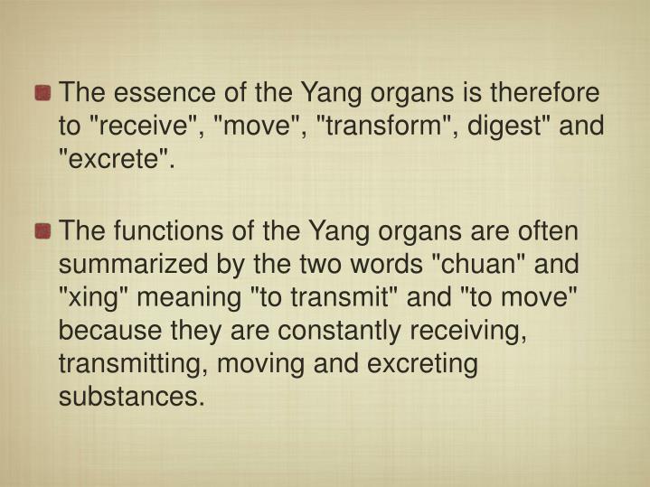 PPT - The Functions of the Internal Organs (Zang-Fu) PowerPoint ...