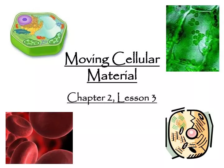PPT - Moving Cellular Material PowerPoint Presentation, free download ...