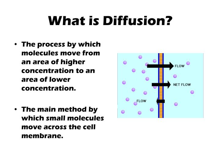 PPT - The Cell in Its Environment PowerPoint Presentation - ID:6837925