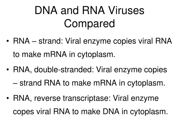 PPT - Growing Viruses PowerPoint Presentation - ID:6838225